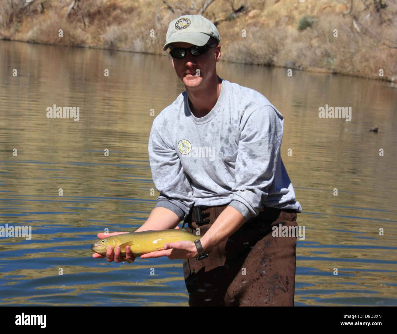 Person releasing a gila trout fish Stock Photo - Alamy