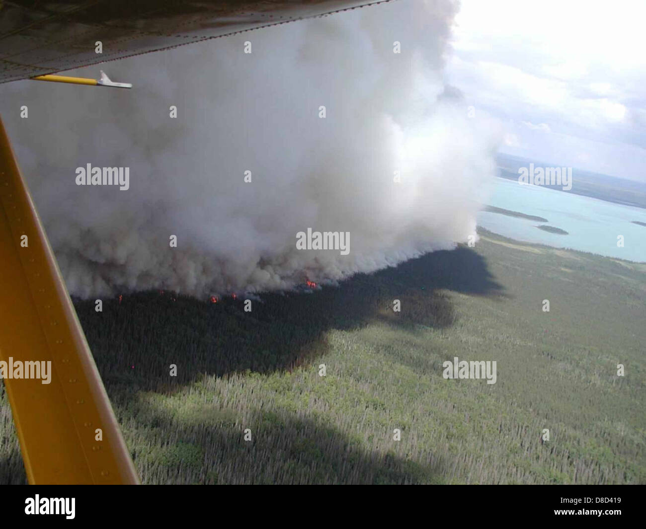 A dramatic photograph of a forest fire, showing thick smoke rising from ...