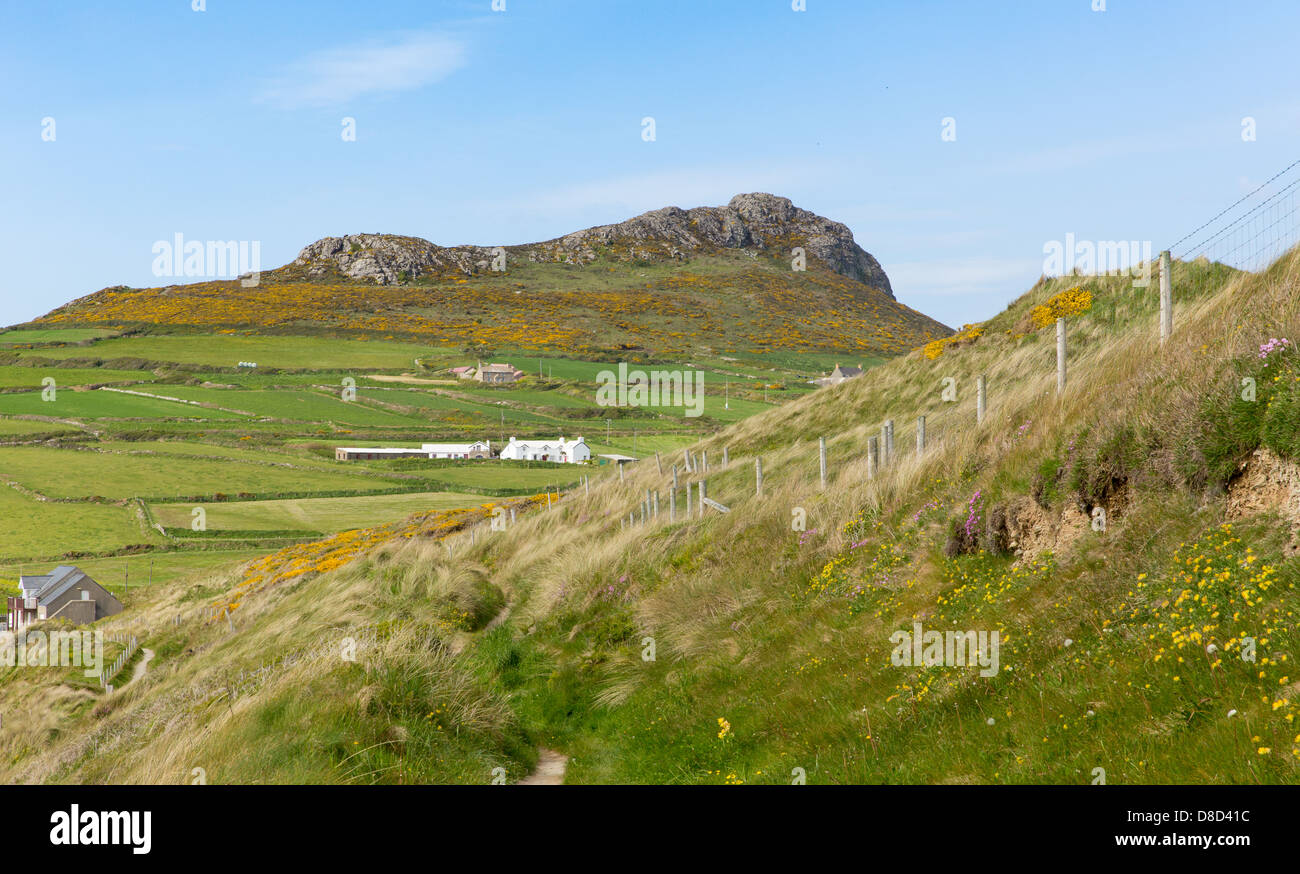 Carn Llidi Welsh hill overlooking Whitesands Bay Pembrokeshire West ...