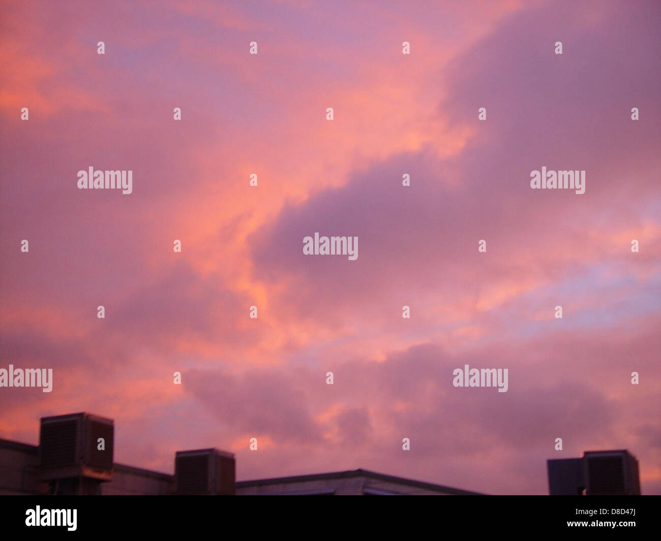 Pink clouds in the sunset Stock Photo - Alamy