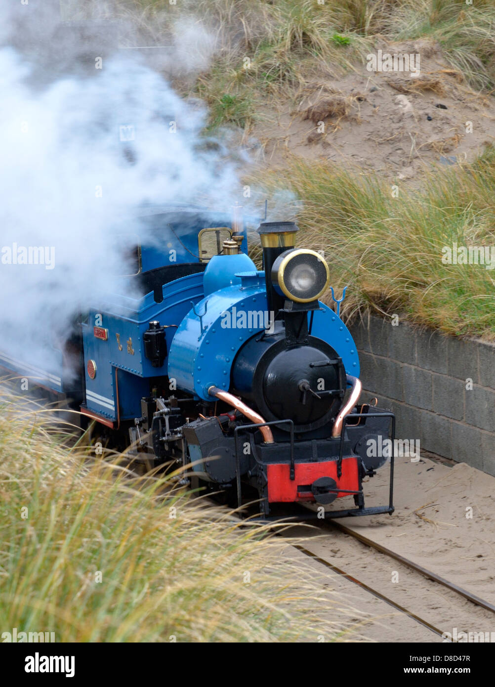 Narrow gauge steam locomotive Stock Photo - Alamy
