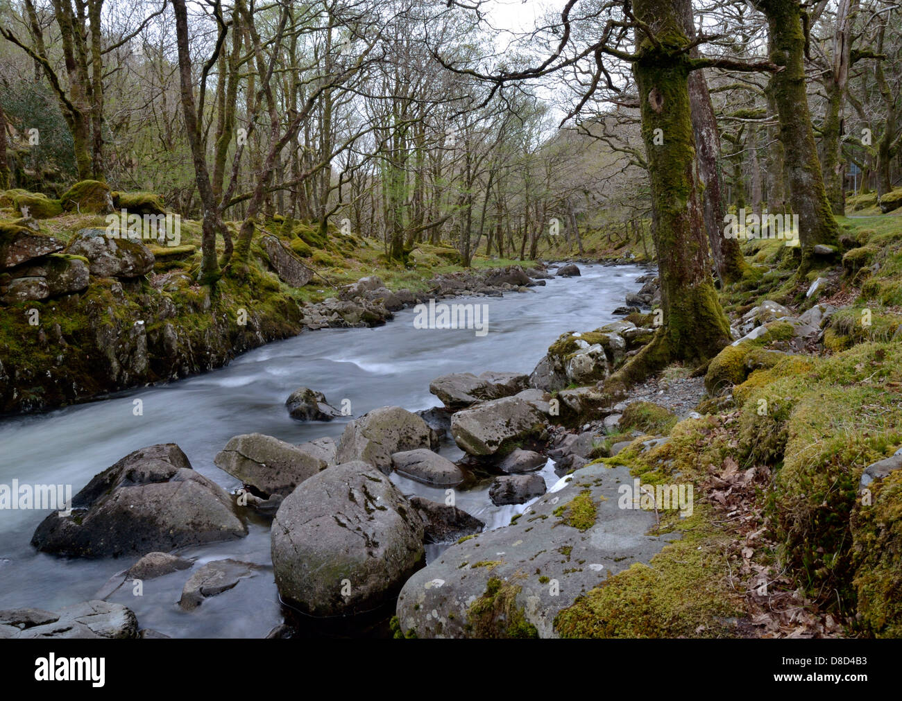 Afon artro hi-res stock photography and images - Alamy
