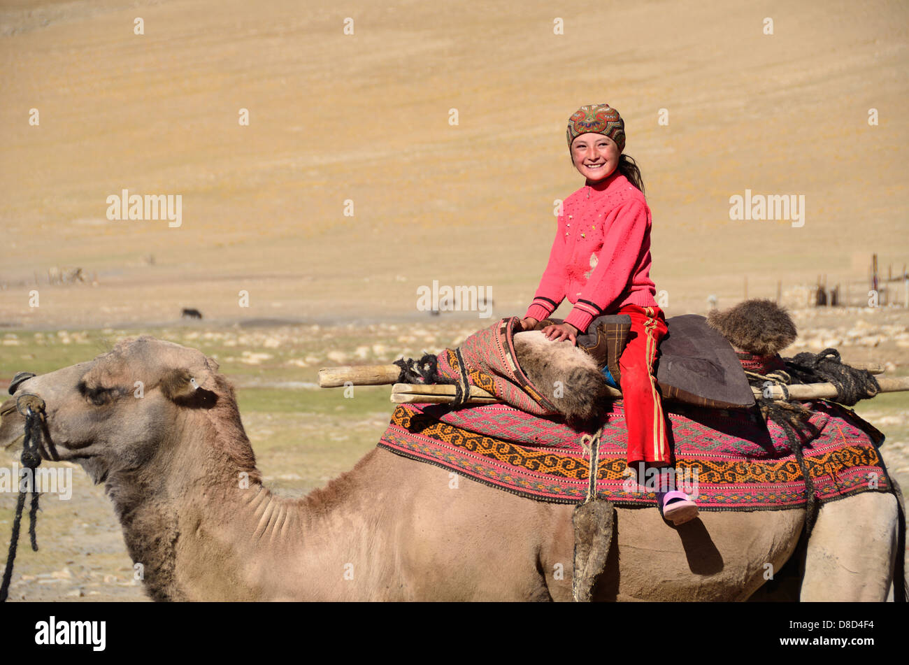 Girl riding a camel hi-res stock photography and images - Alamy