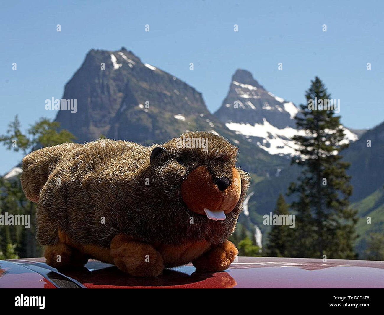 A soft and detailed image of a plush marmot toy. The toy is designed to ...