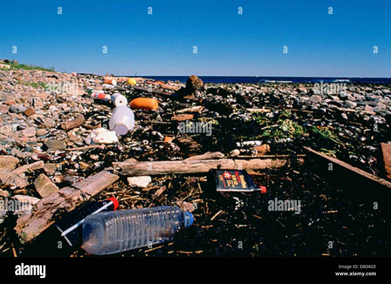An image showing pollution washed up on a beach, with plastic debris ...