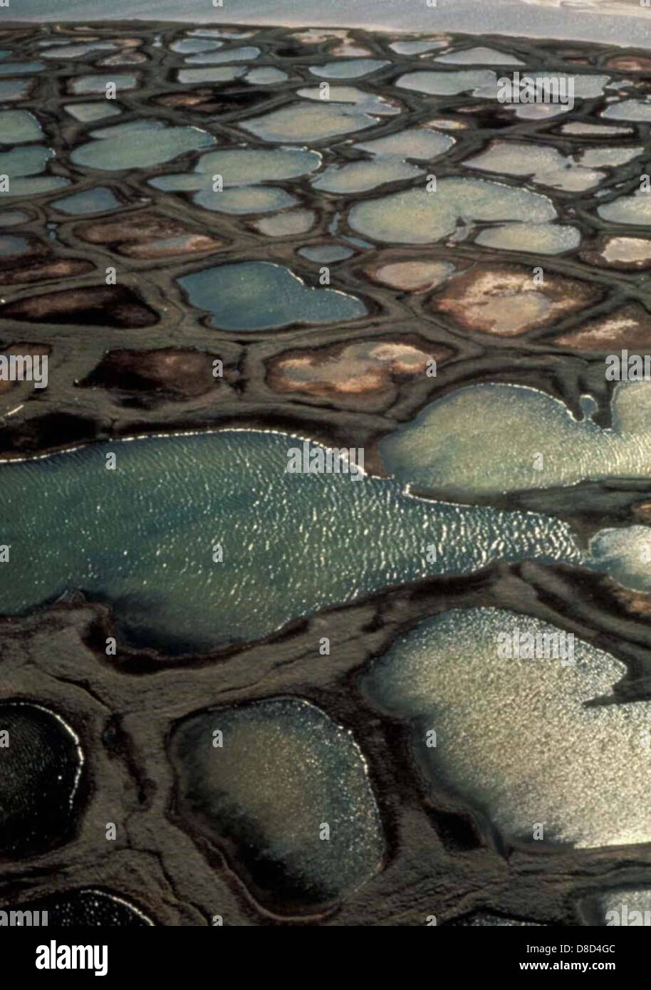 Polygons or polygonal ground in the Arctic refuge Stock Photo - Alamy
