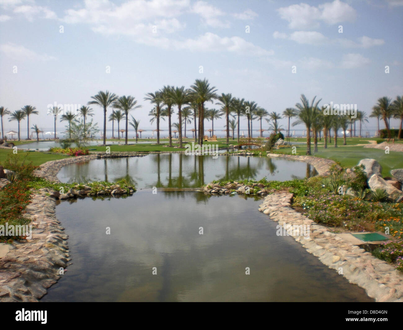 A pond swamp is a wetland area typically characterized by shallow water ...