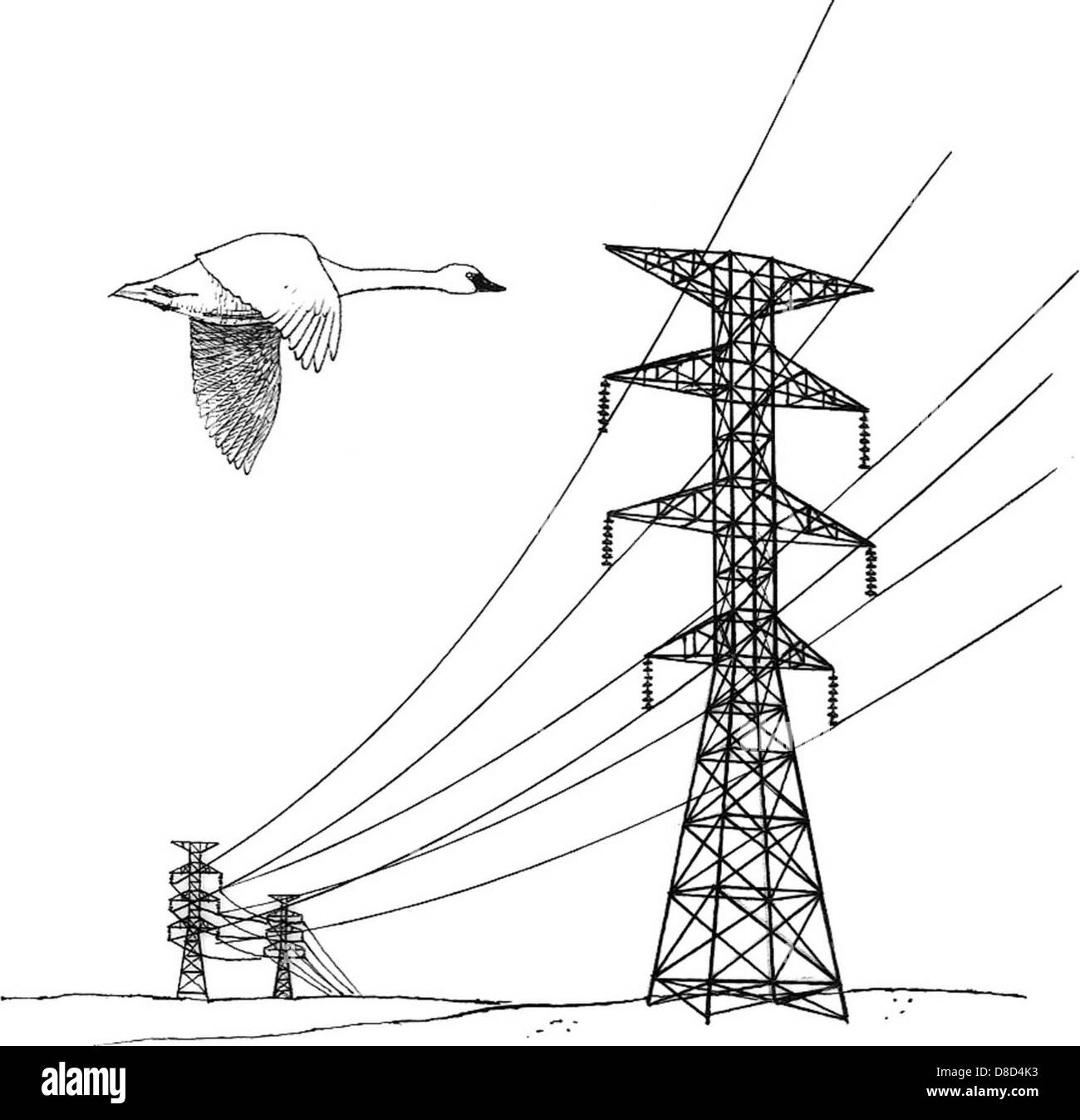 Power danger Black and White Stock Photos & Images - Alamy