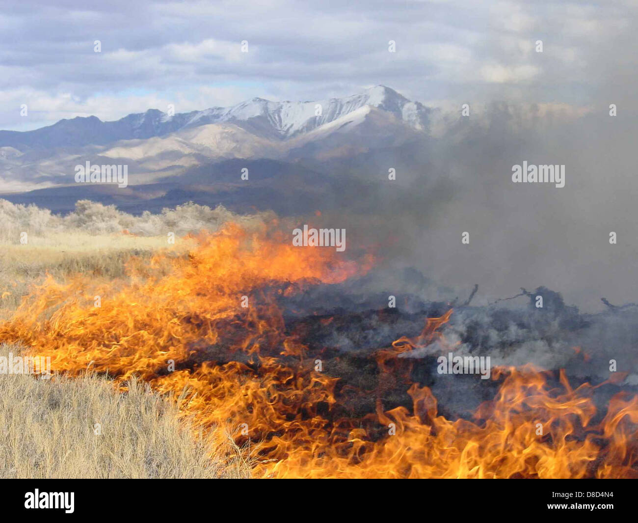 A controlled or prescribed fire burns on the landscape, with snow ...