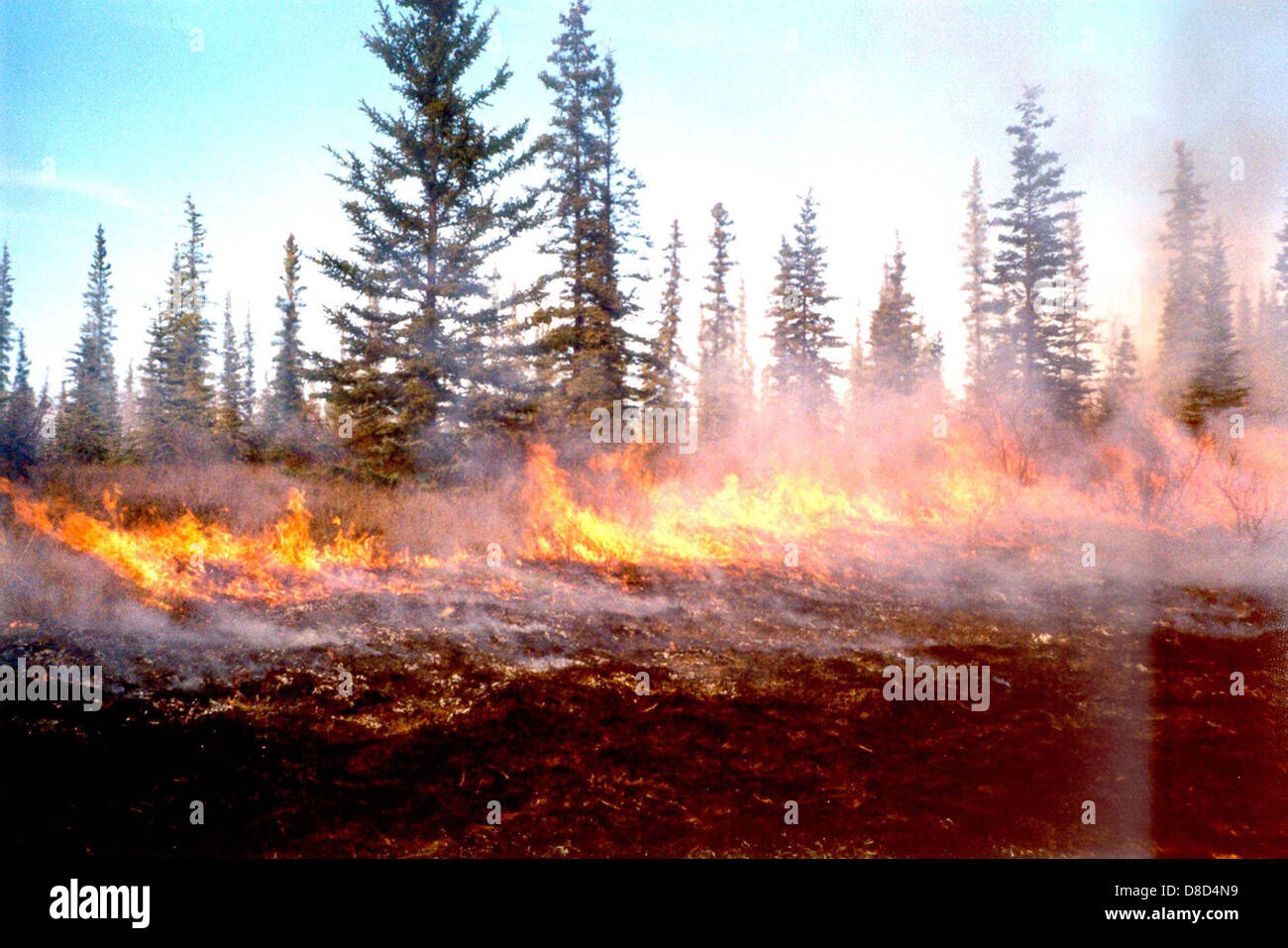 Prescribed burns intentionally set hi-res stock photography and images ...