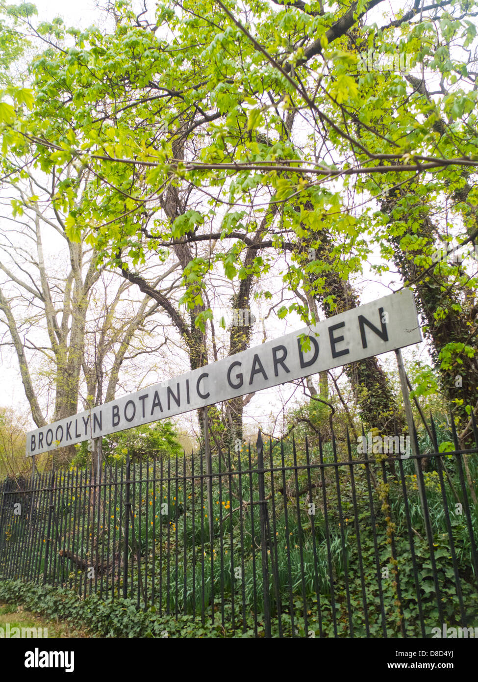 Brooklyn Botanic Garden Stock Photo - Alamy