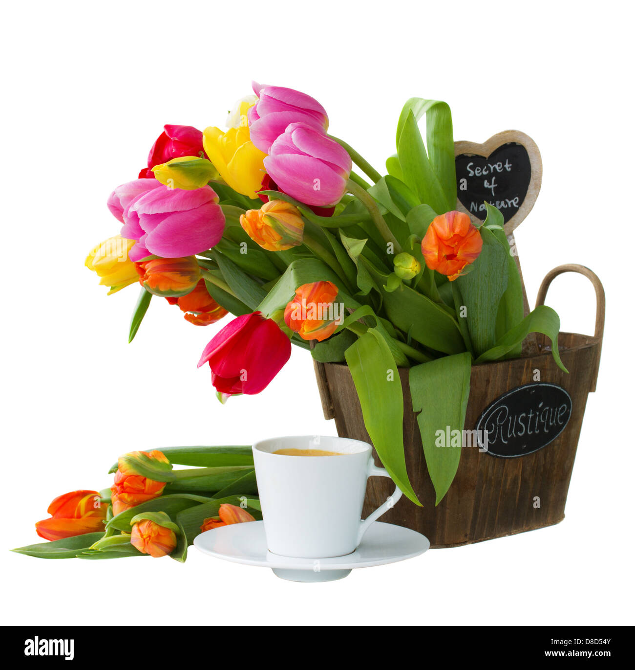 Spring break Cut Out Stock Images & Pictures - Alamy