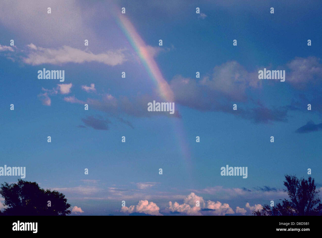 A vibrant rainbow spanning across the sky after a rain shower ...