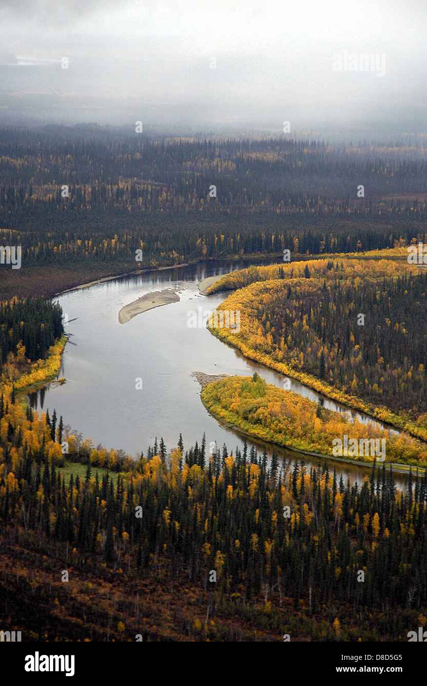 Rainfall over the Koyukuk River in Alaska. The rain creates ripples on ...