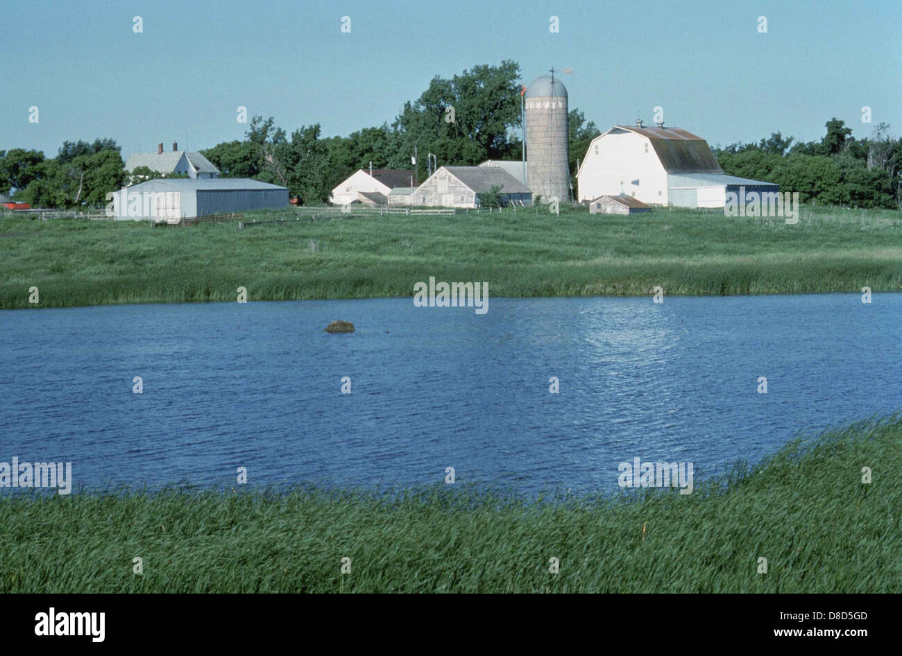 A ranch surrounded by a vast swamp, showing a blend of rural life and ...