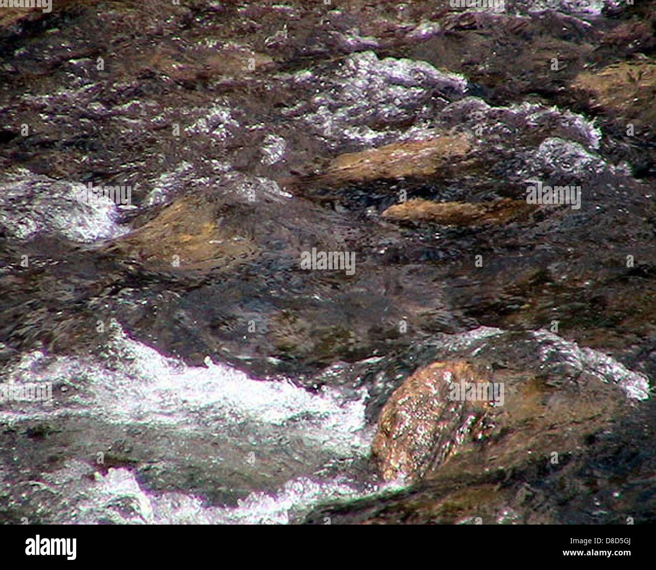 A fast-moving river with rapid currents, creating a dynamic flow of ...