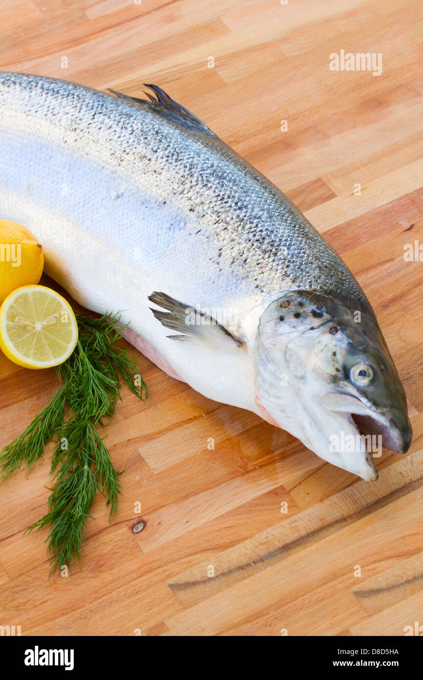 Salmon fish close up Stock Photo - Alamy