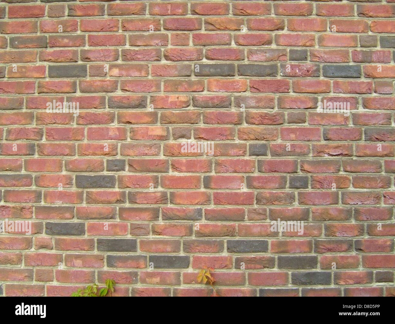 This image features a close-up of a red brick wall with visible texture ...
