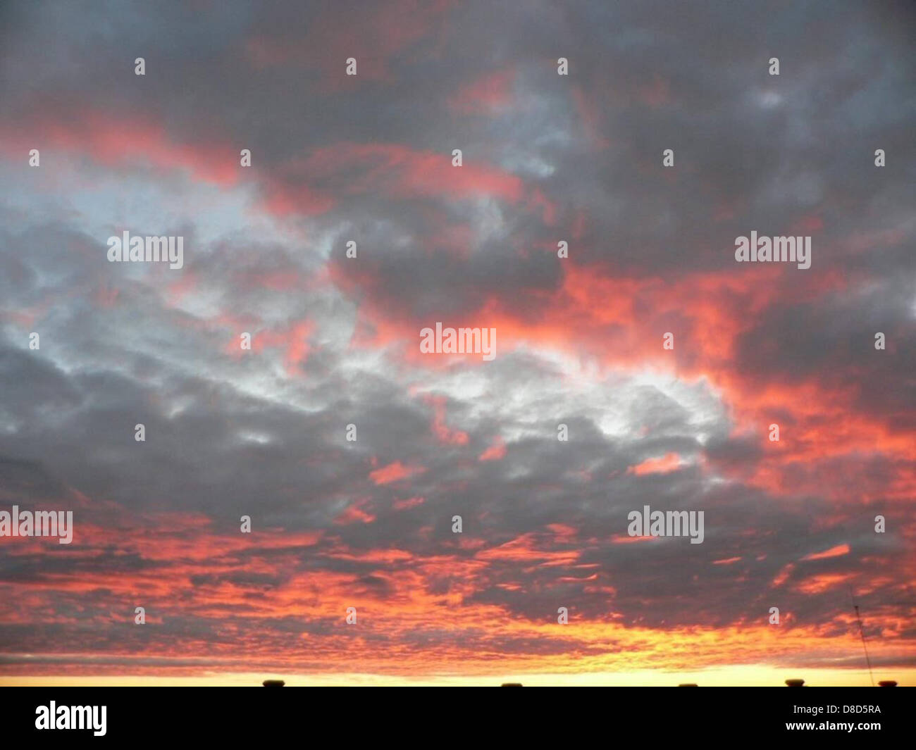 A vibrant display of red clouds during sunset or sunrise, where ...