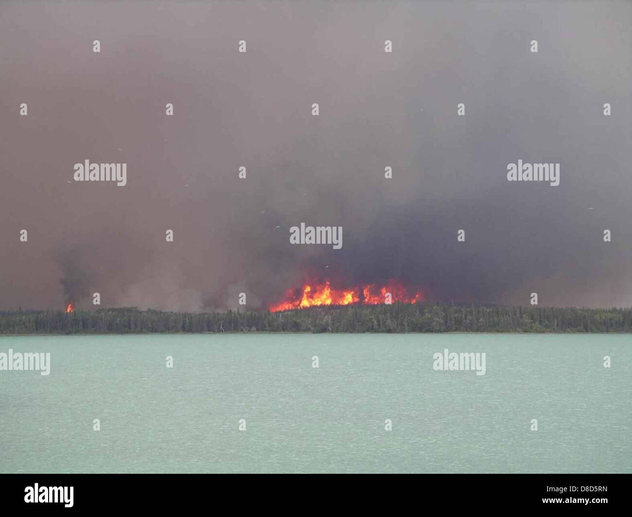 Red flames rising from a forest fire, with dark smoke billowing into ...