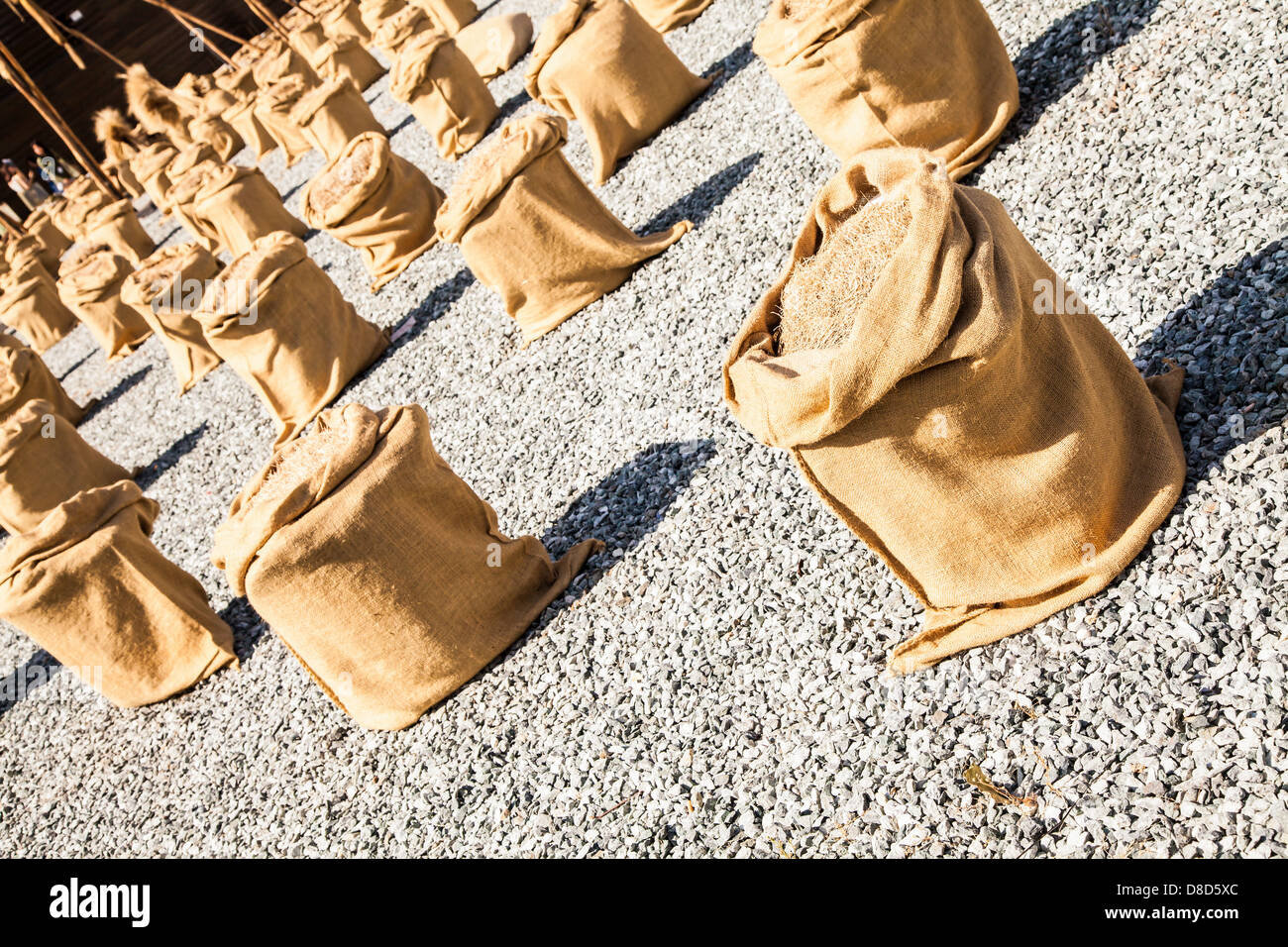 Wheat sacks during a sunny day in a warm summer season Stock Photo - Alamy