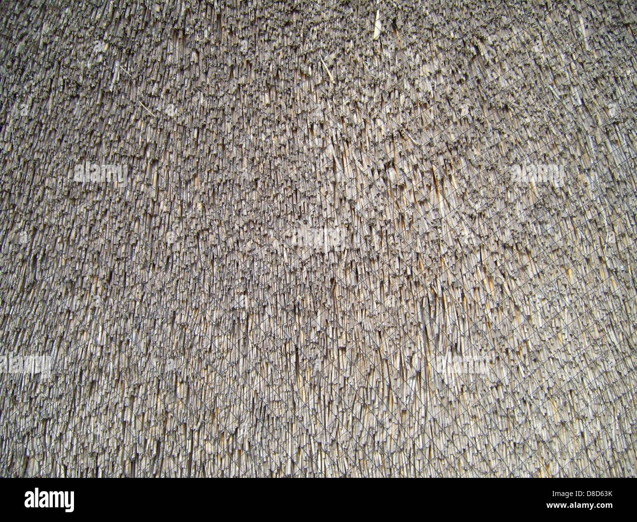 This image features a reed roof, often used in traditional architecture ...