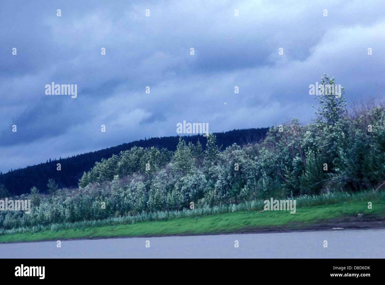 A peaceful river flowing alongside a natural shoreline, with trees and ...