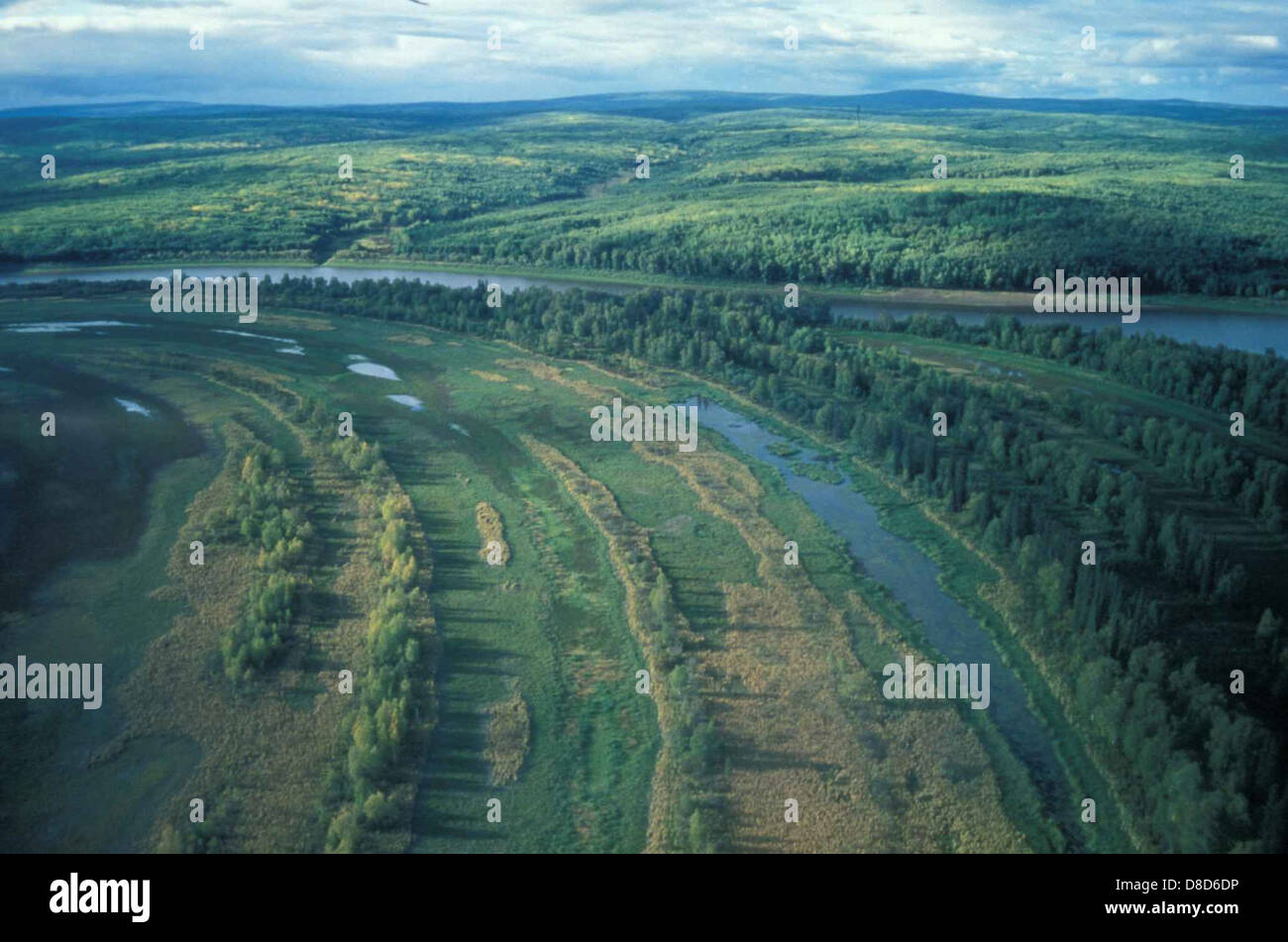River and swamp landscape Stock Photo - Alamy