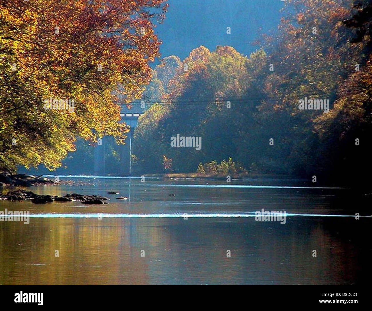 An autumn scene by a river, with trees in full fall color. The vibrant ...