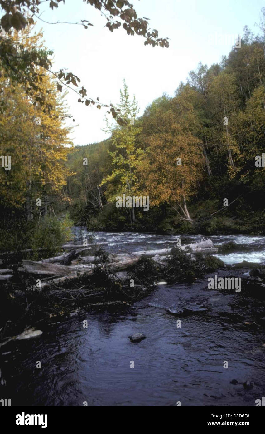 A river flowing below a waterfall during the summer season, with clear ...