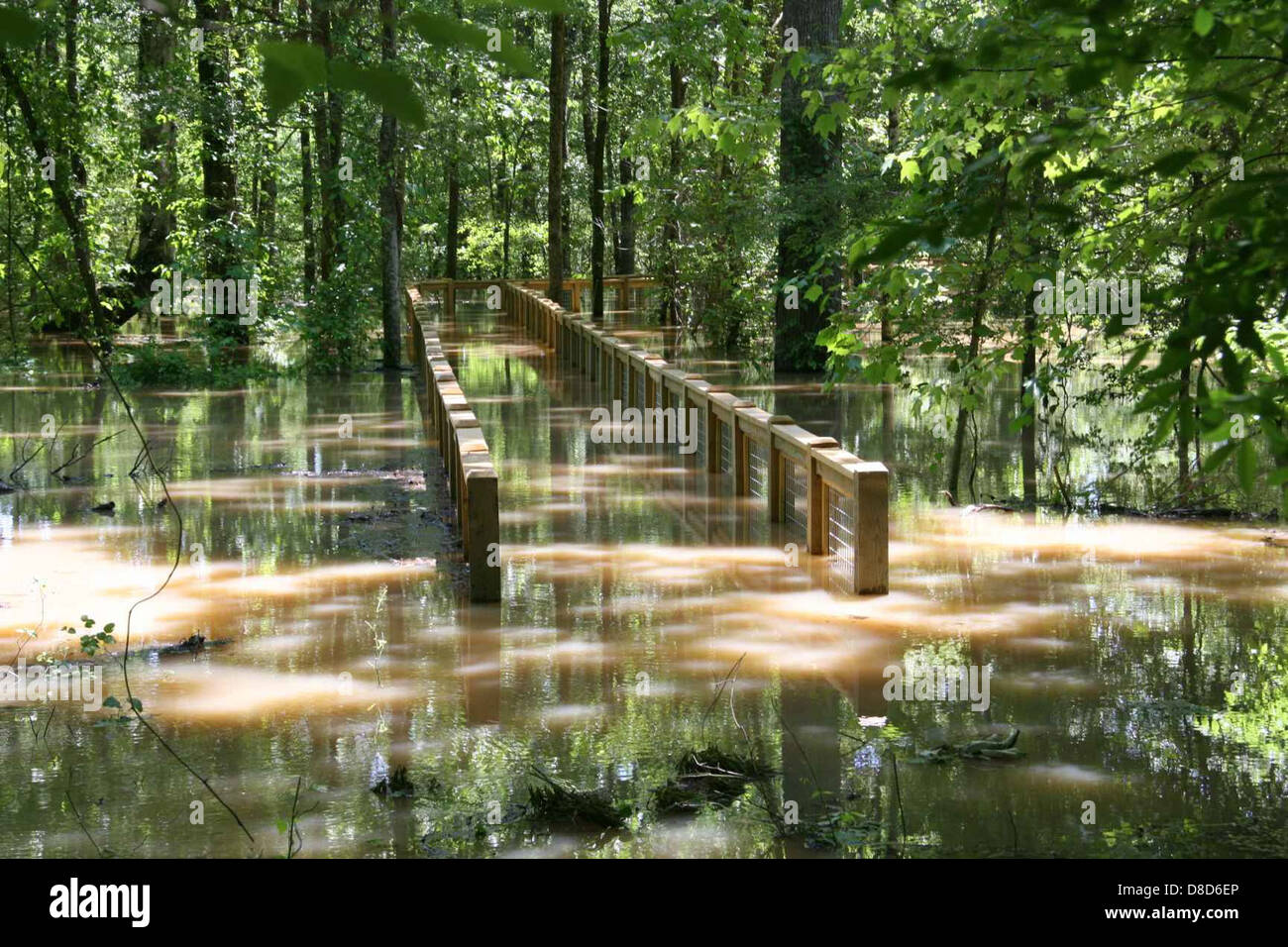 A river boardwalk trail is shown completely submerged by water ...