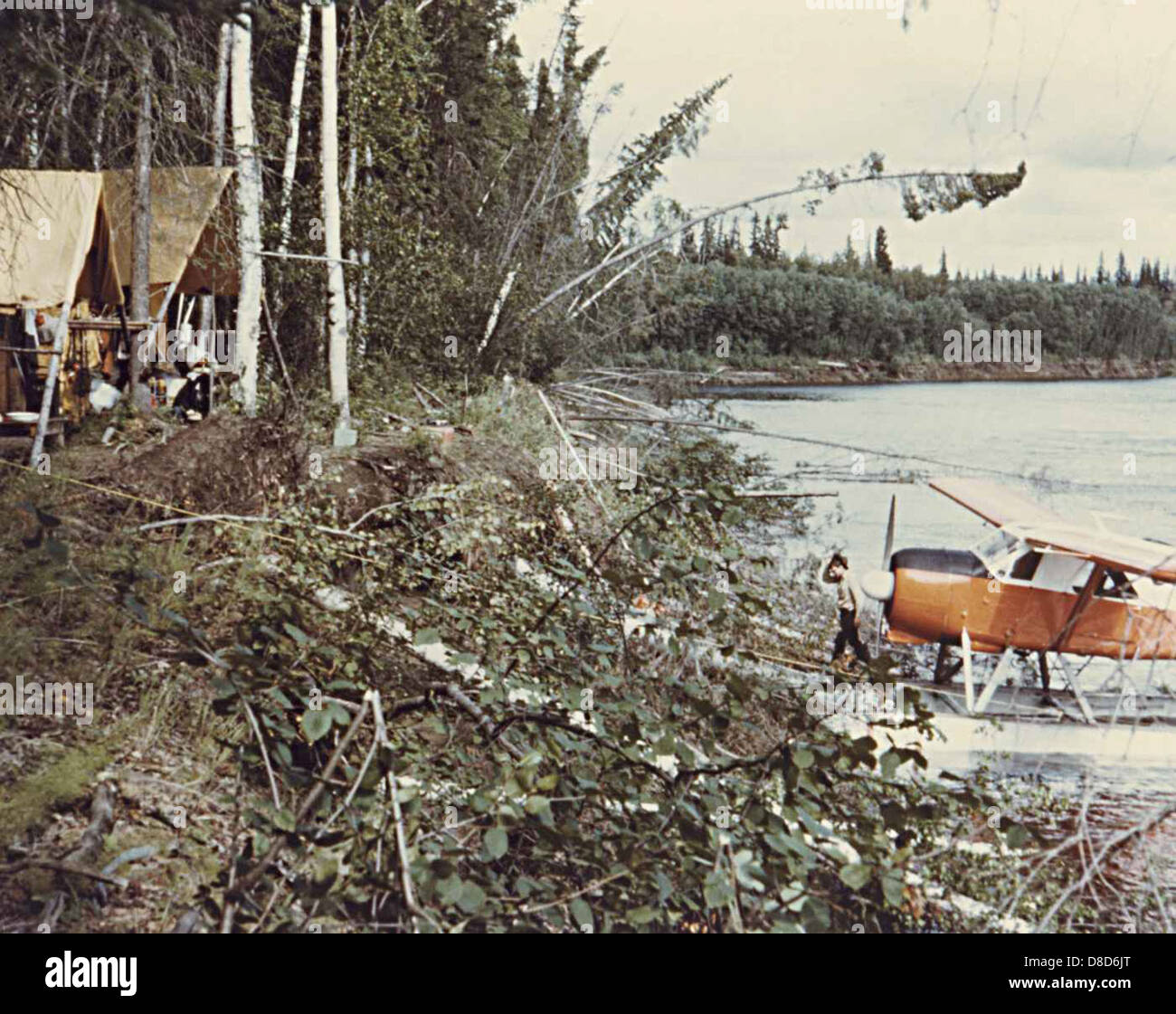 A river camp set up along the bank of a river, providing a natural ...