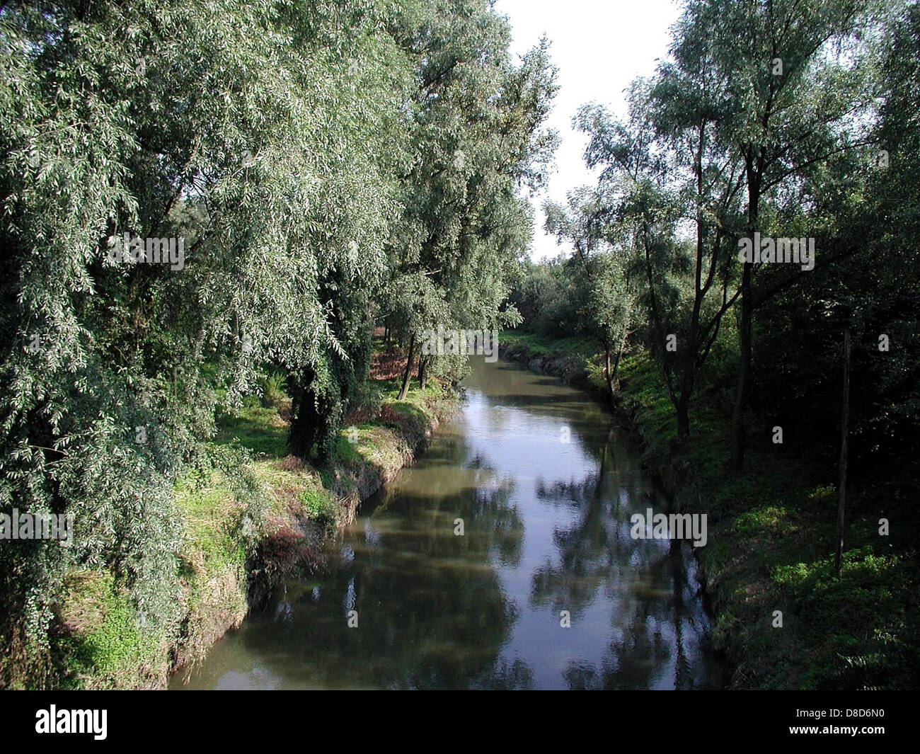 River in nature habitat Stock Photo - Alamy