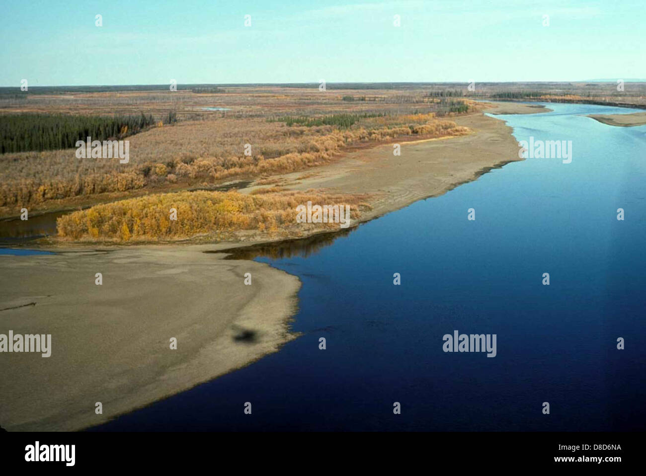 A river flows gently through a lush landscape, with trees and plants ...