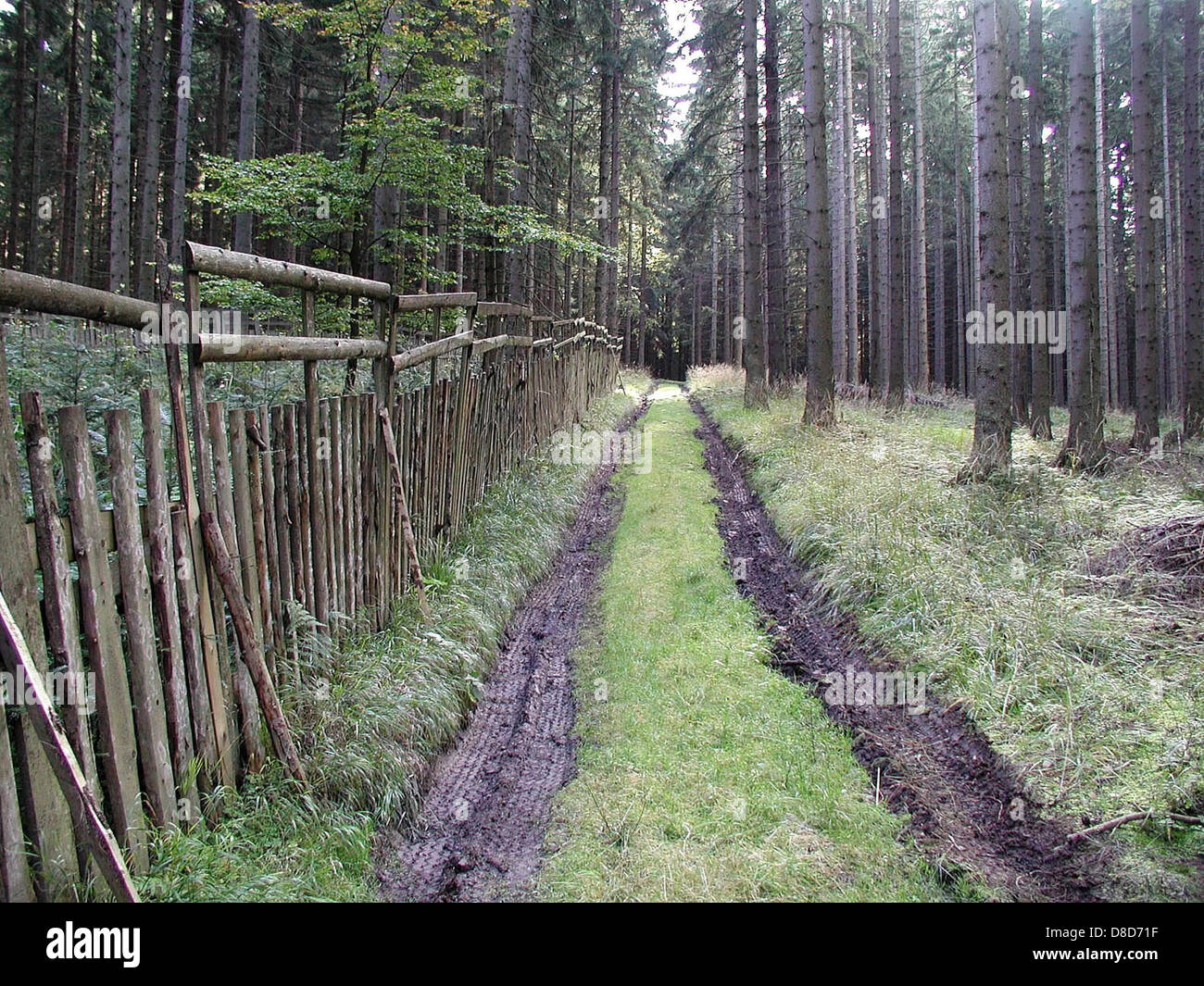 A road runs alongside a wooden fence, with a clear view of the ...