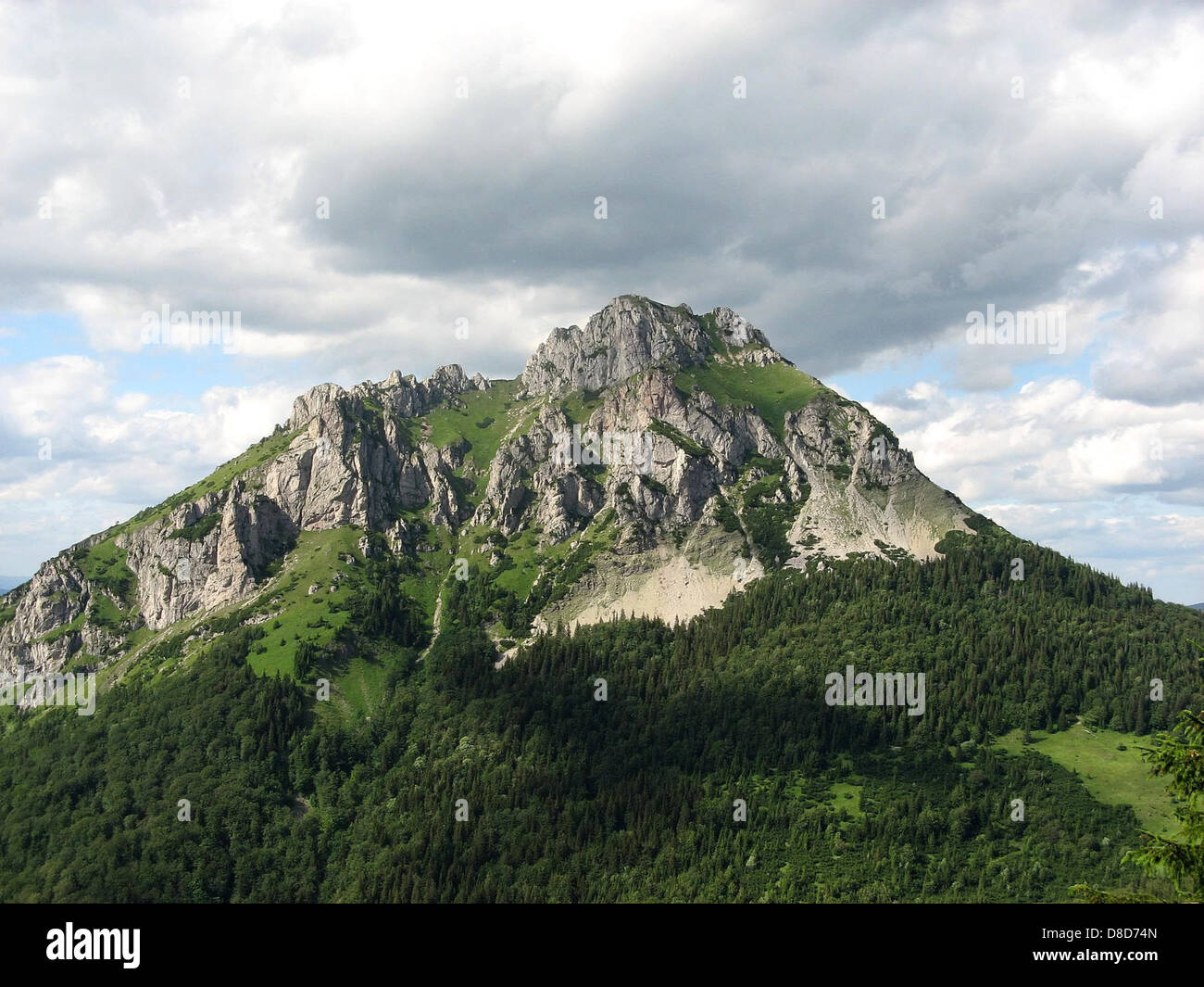 This close-up image captures the rugged texture and sharp features of a ...