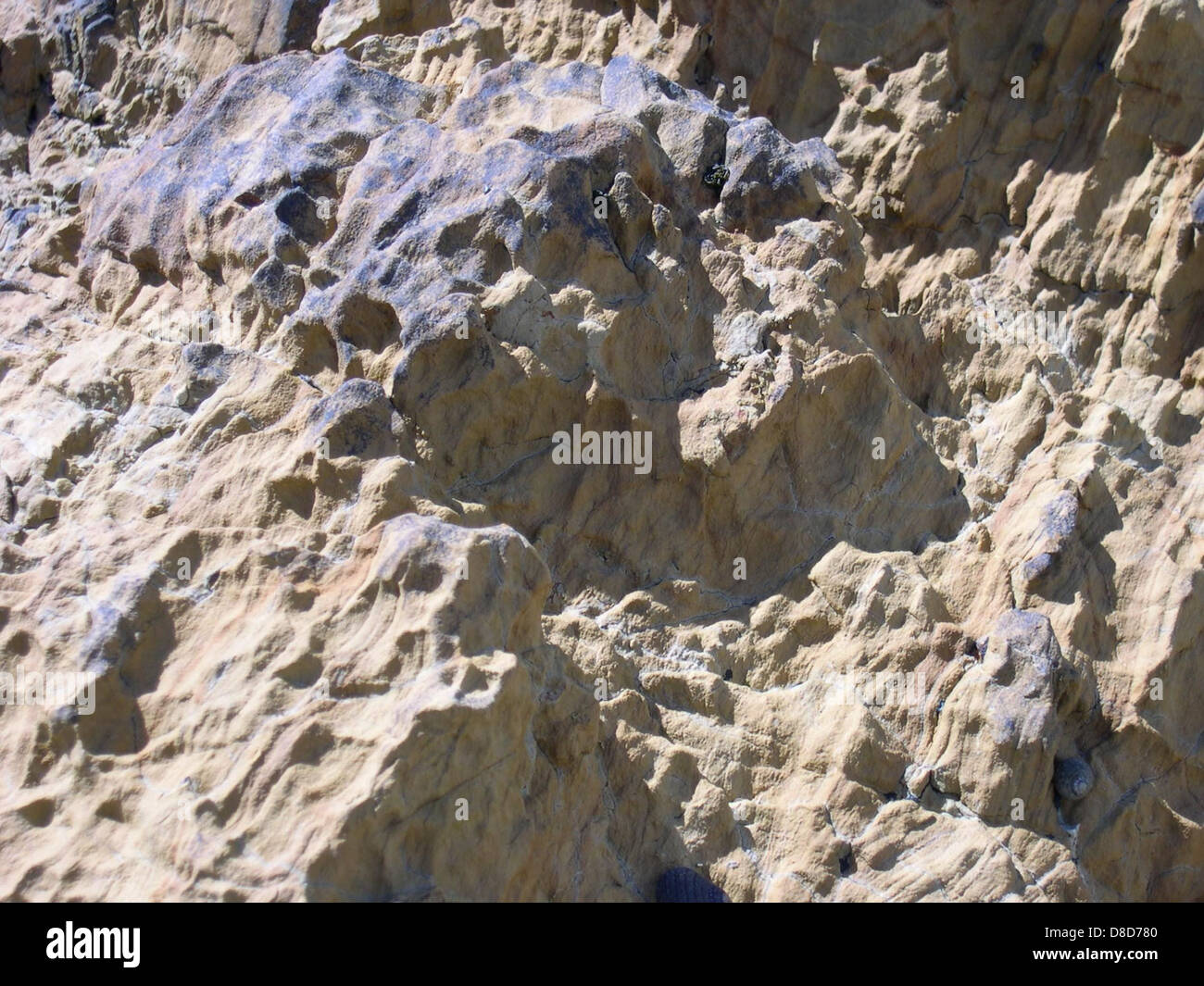 A close-up view of a rock or stone surface, highlighting the natural ...