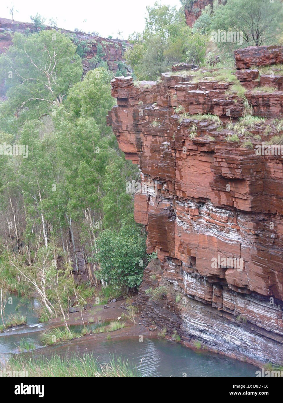 The layers of rock strata visible near Forestcue Falls. The image ...