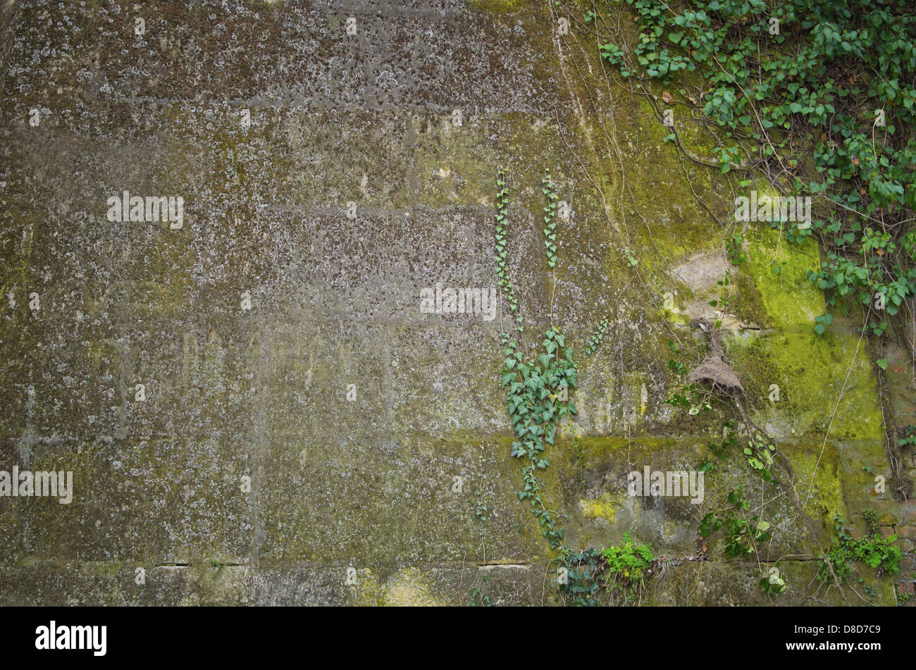 Grunge wall background with dripping moss Stock Photo - Alamy