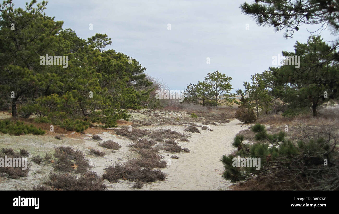 A sandy path stretches through a vast desert landscape, with dunes and ...