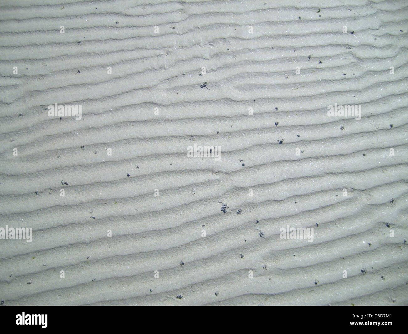 A close-up view of sand on a beach, showing the fine texture of the ...