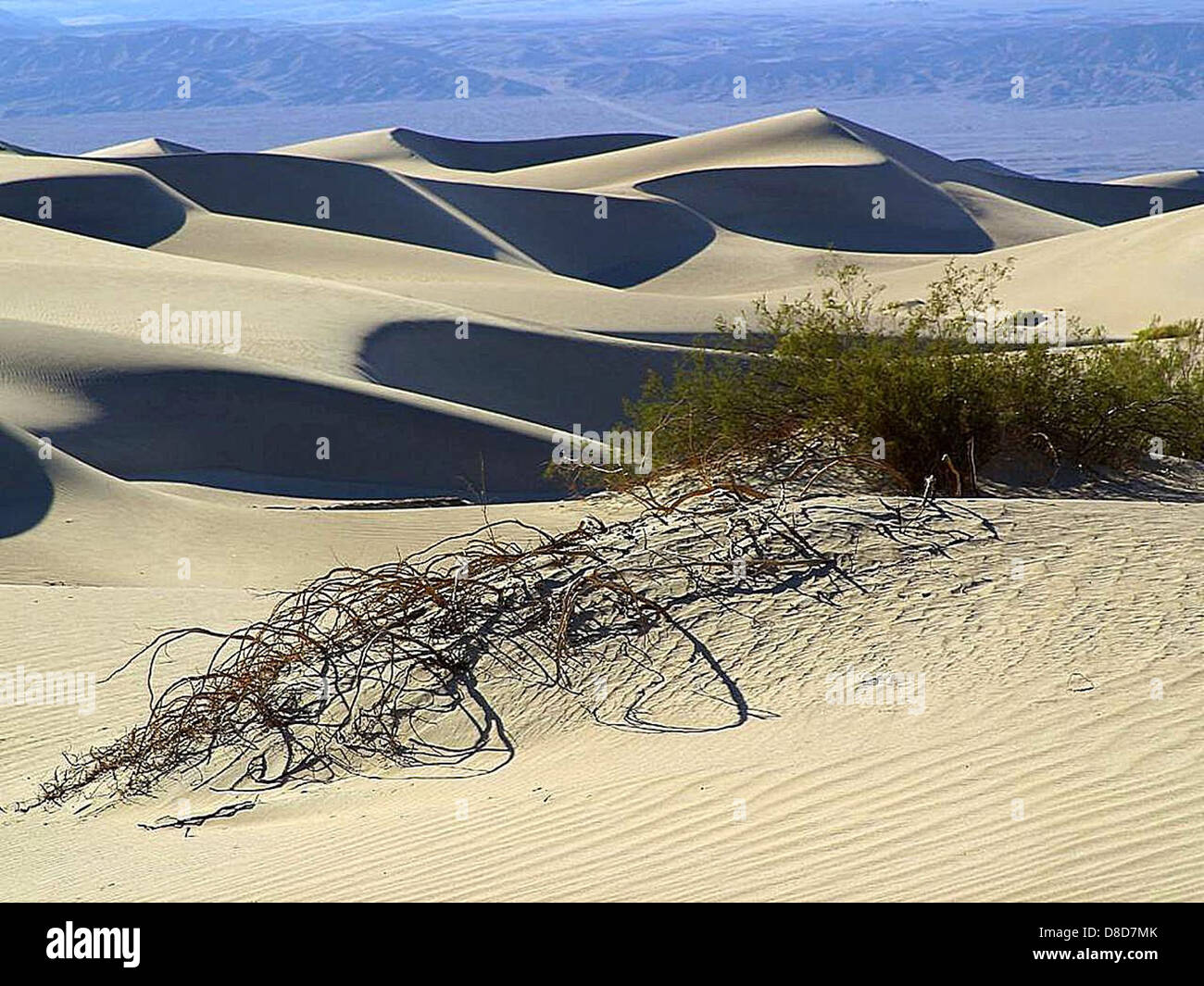 Expansive sand dunes stretch hi-res stock photography and images - Alamy