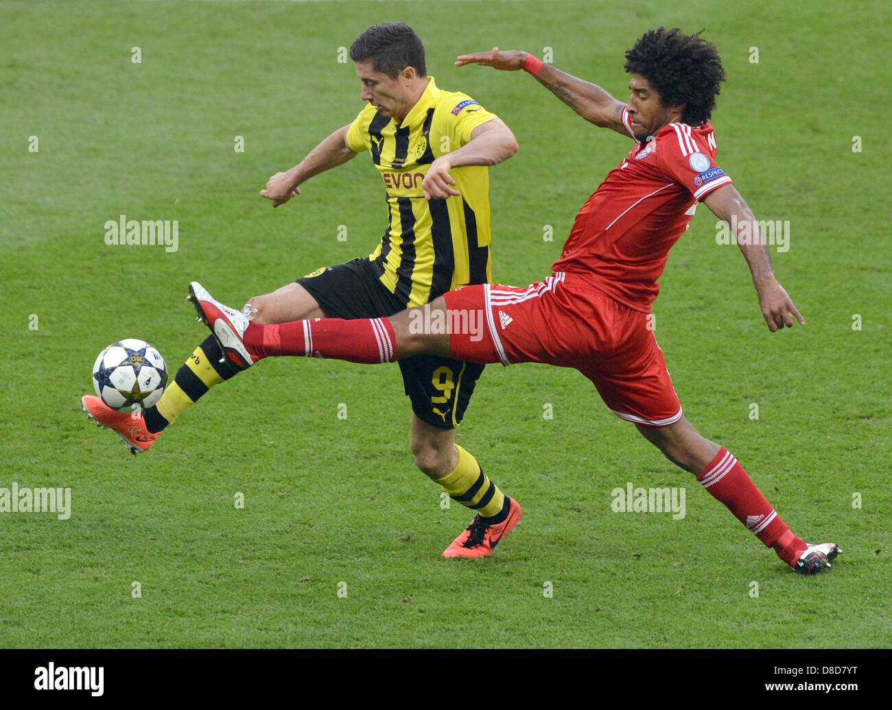 Peter lewandowski hi-res stock photography and images - Alamy
