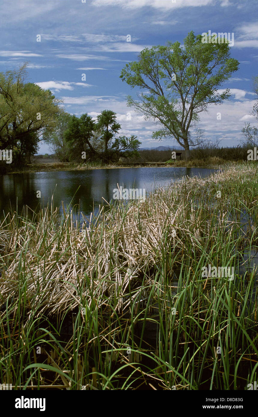 A scenic landscape showcases a beautiful natural view, possibly ...