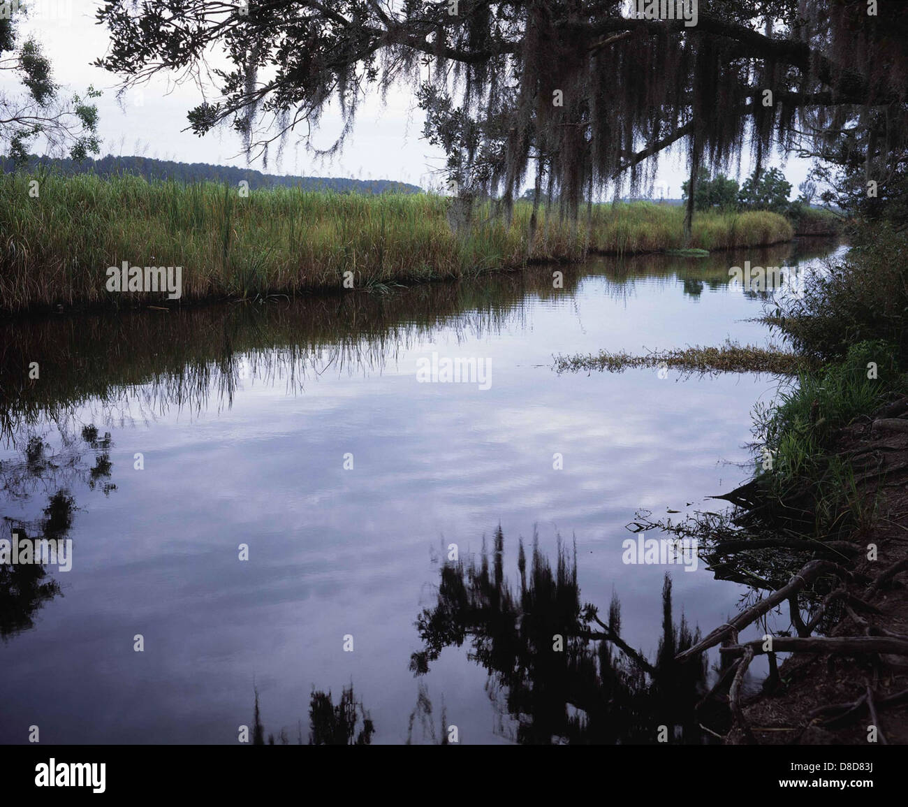 Scenic landscape and water edge Stock Photo - Alamy