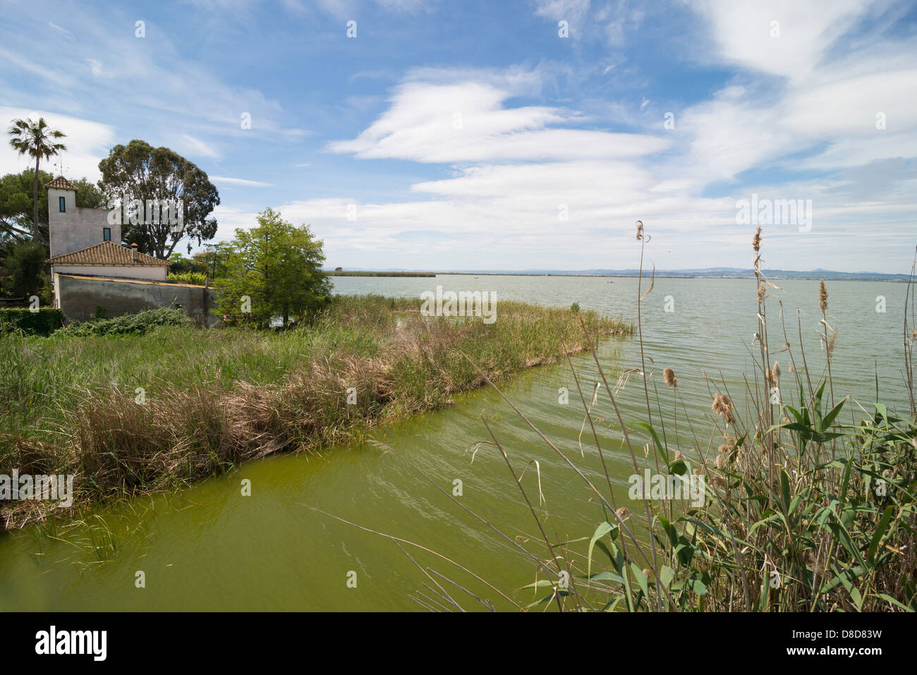 El palmar and valencia hi-res stock photography and images - Alamy