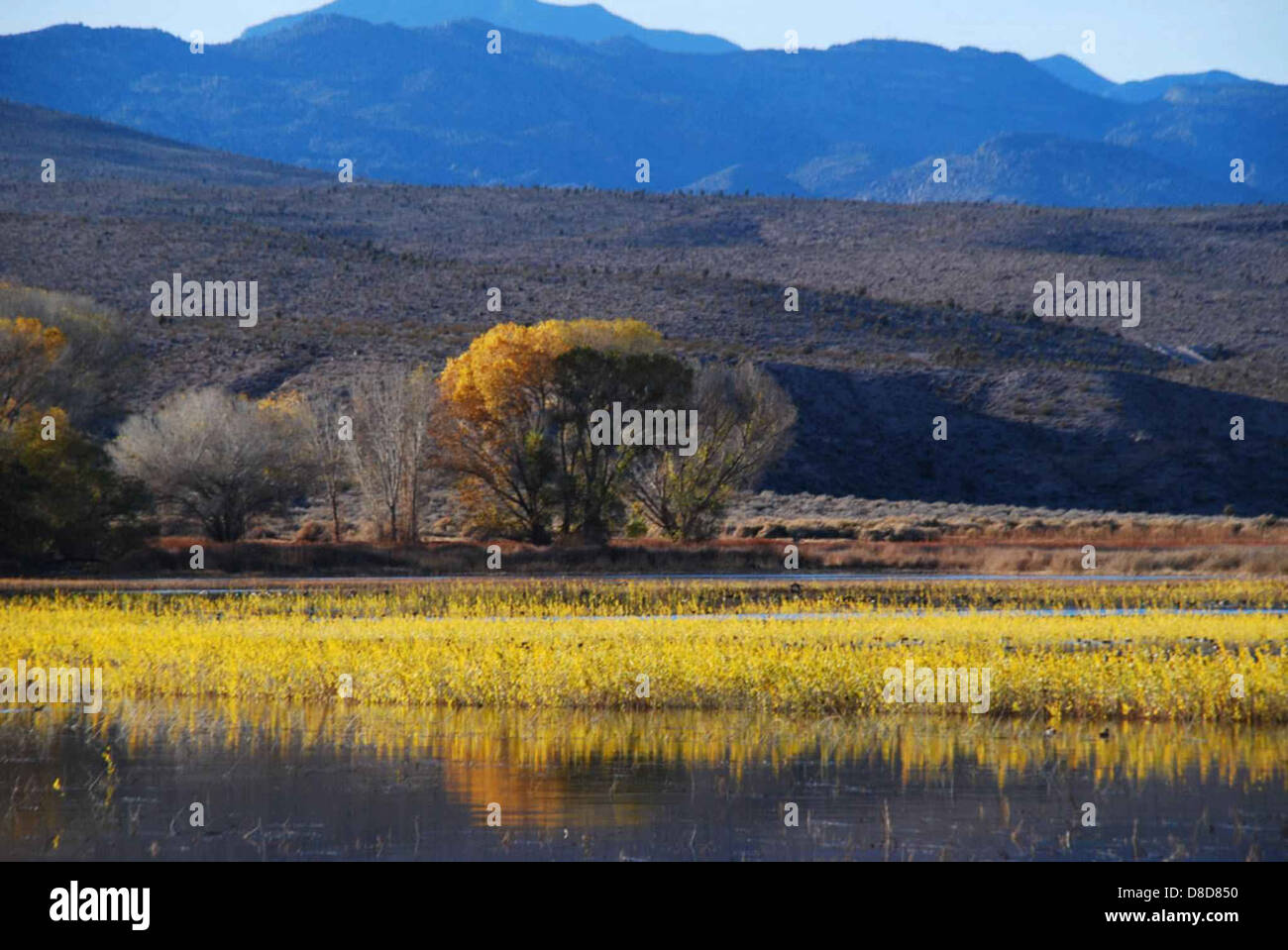 A broad, open landscape with expansive fields and minimal human ...