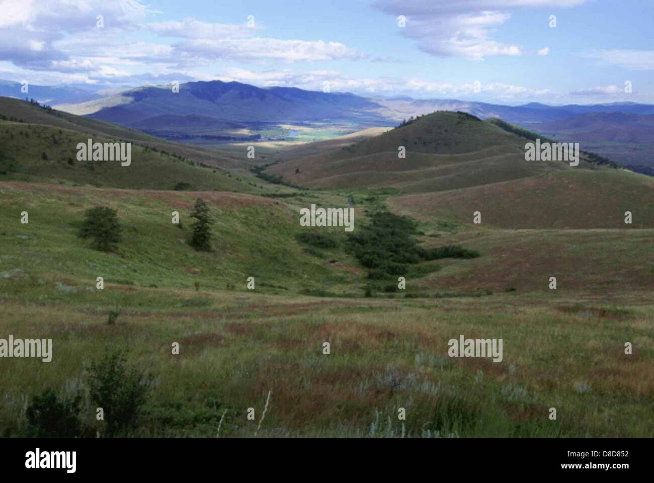 A scenic view showcasing prairie-covered mountains and valleys, with a ...