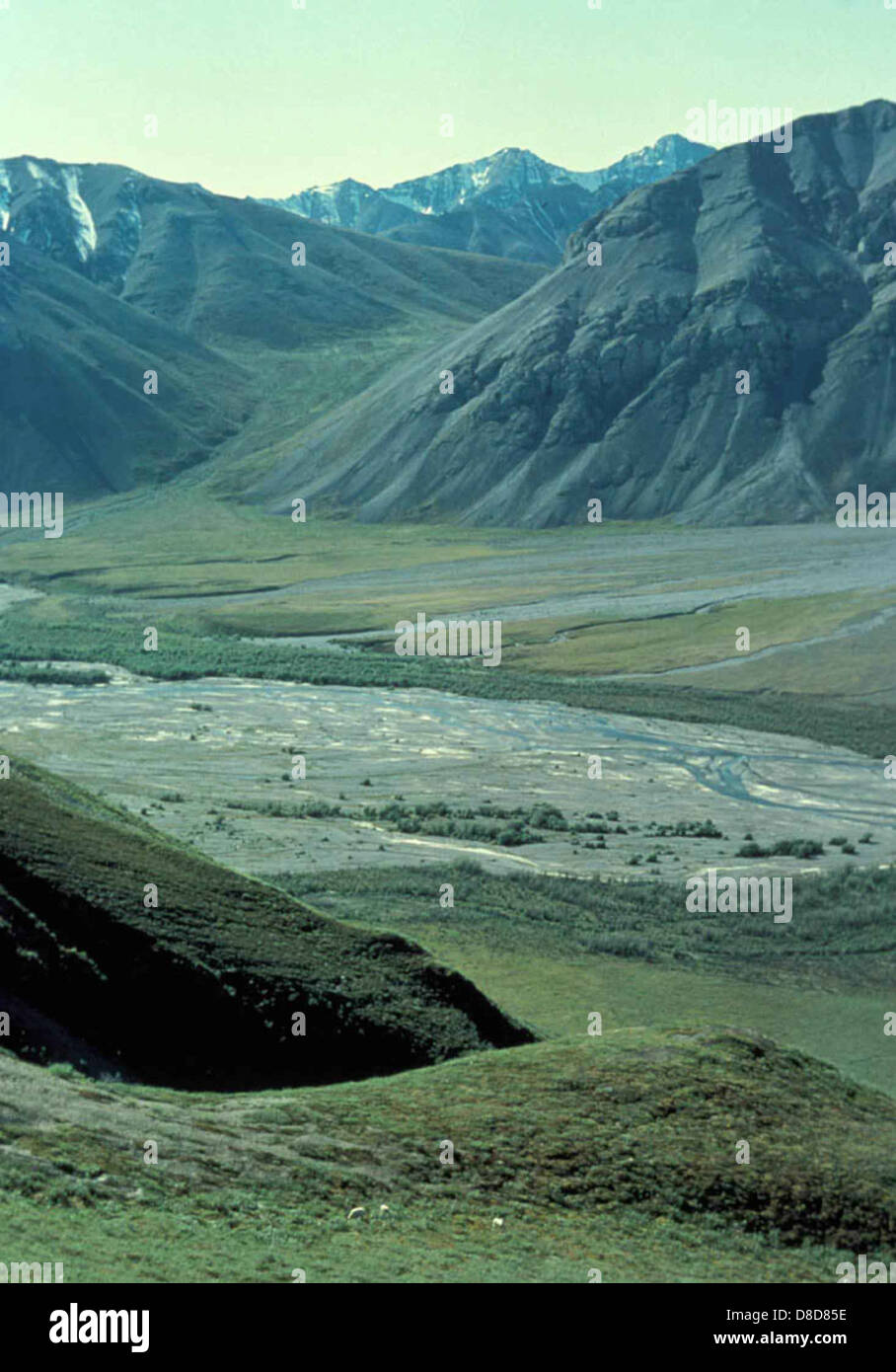 Sheenjek river hi-res stock photography and images - Alamy