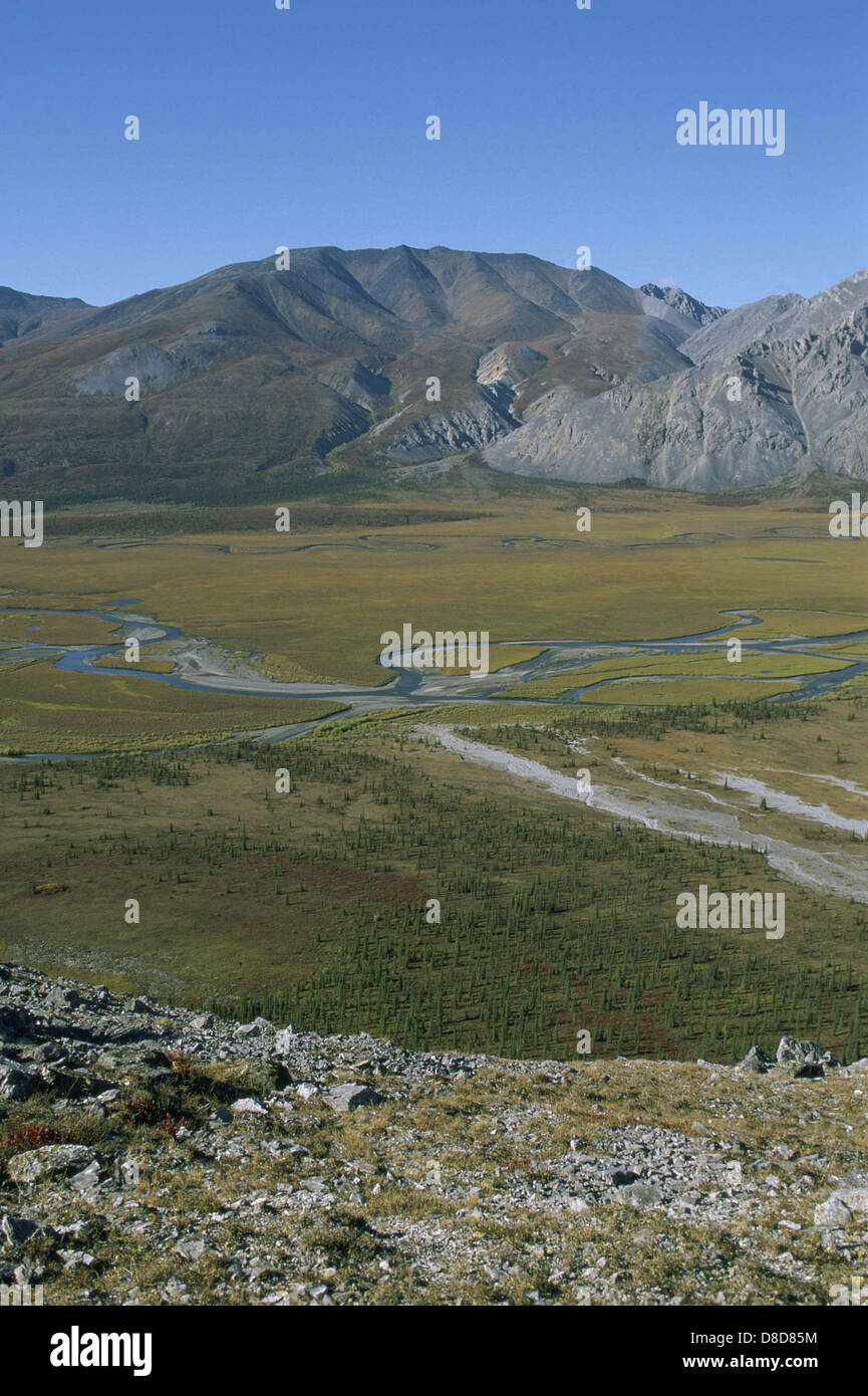 A scenic view of a wide river valley, with two winding rivers flowing ...